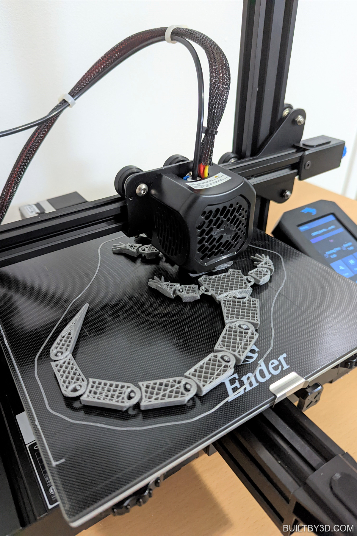 3D Print Lizard- Make Your Own Pet - Built By 3D