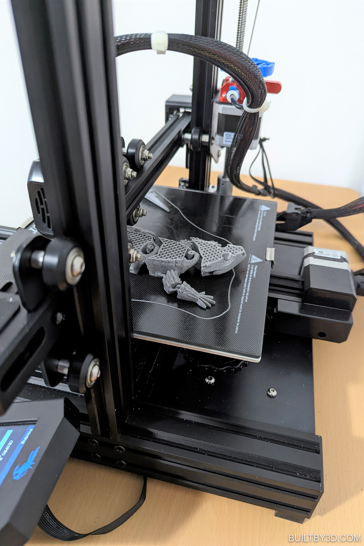 3D Print Lizard- Make Your Own Pet - Built By 3D